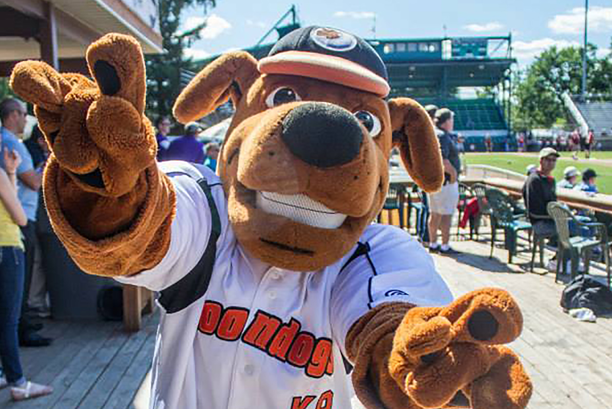 Lutheran Youth Association - Evangelical Lutheran Synod